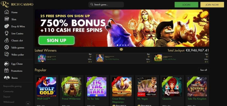 Rich Casino - online games and slot machines, deposit methods and bonuses